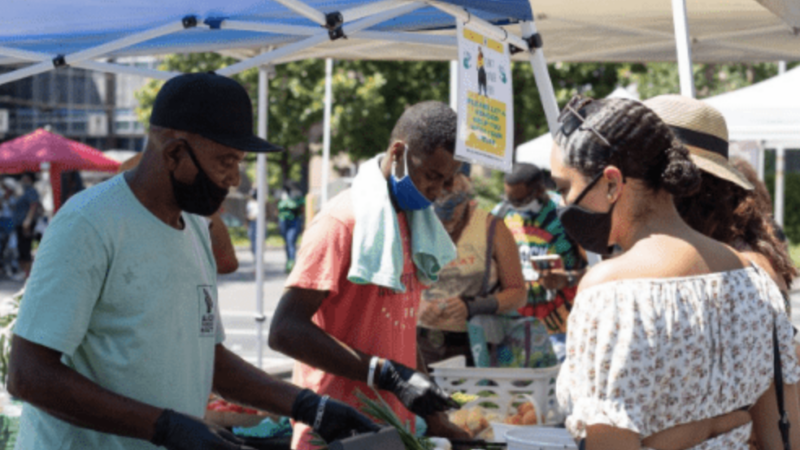 Black-Owned Farmers Markets To Visit To Support Black Farmers And ...
